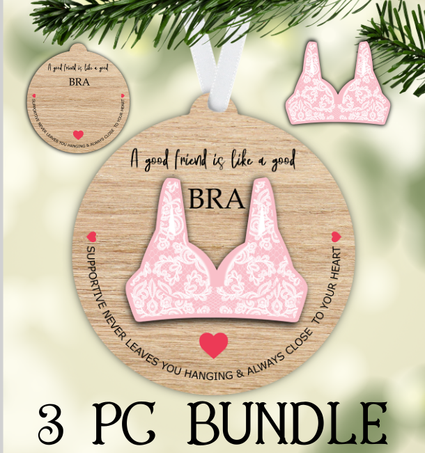 Digital Download - 3pc Bra friend design bundle - for our sublimation ...