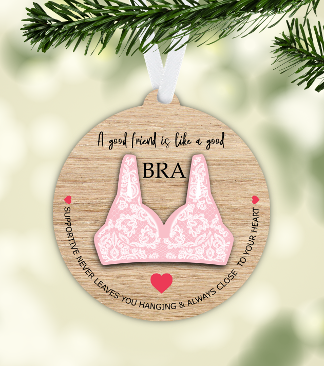 Digital Download - 3pc Bra friend design bundle - for our sublimation ...